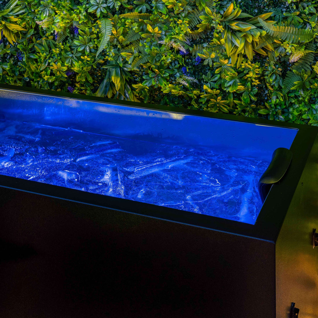 Sun Home Cold Plunge Pro | Premium Cold Plunge Tub for Recovery - Sun ...